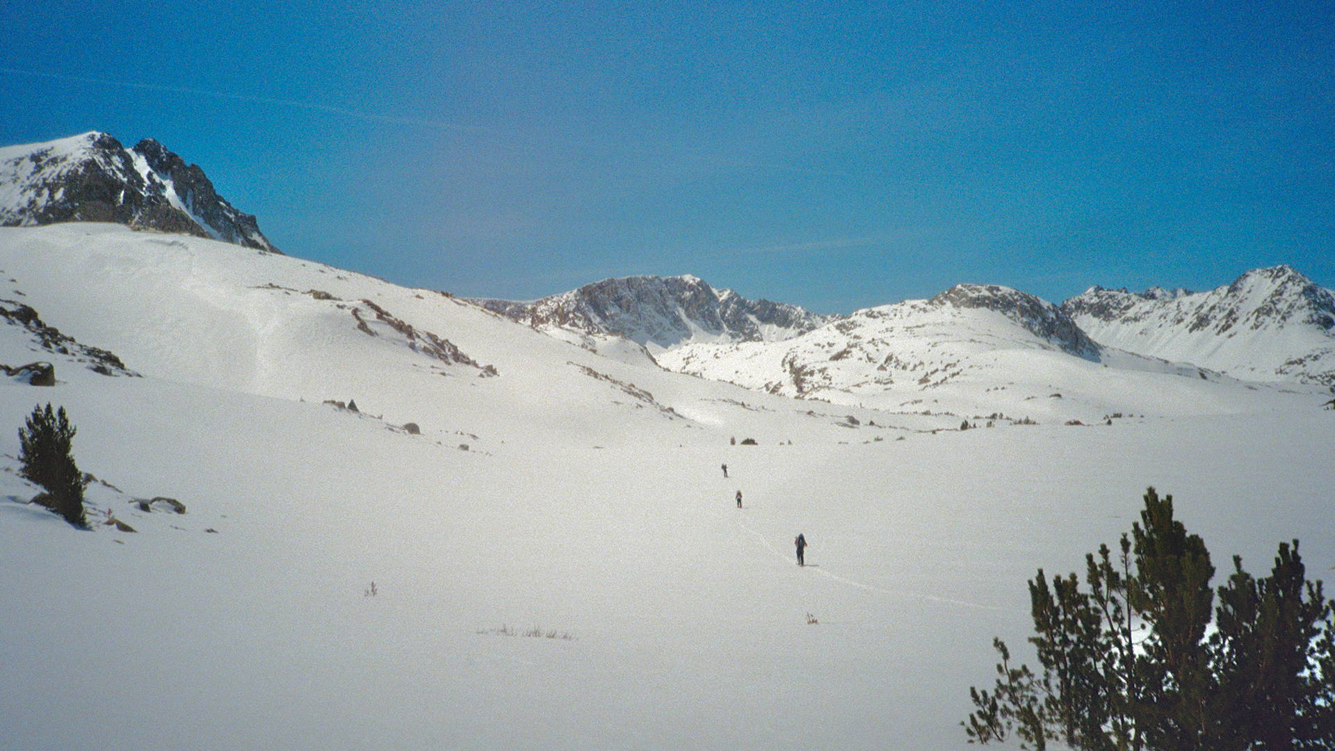 Skin Tracks : Volume I by Mallory Duncan – 4FRNT Skis